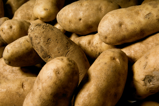 Fun Facts About Potatoes | Potato Nutrition Facts | Farm Flavor