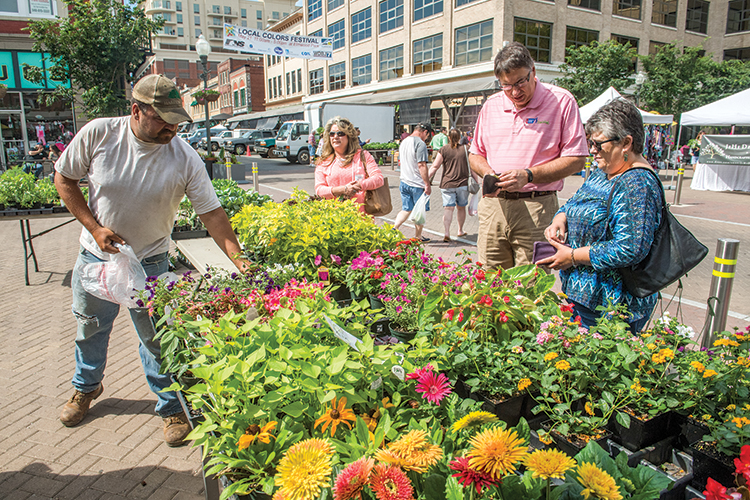5 Ways to Get Involved in Agriculture