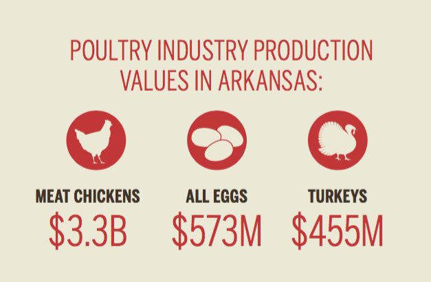 Arkansas Poultry Progress - Farm Flavor