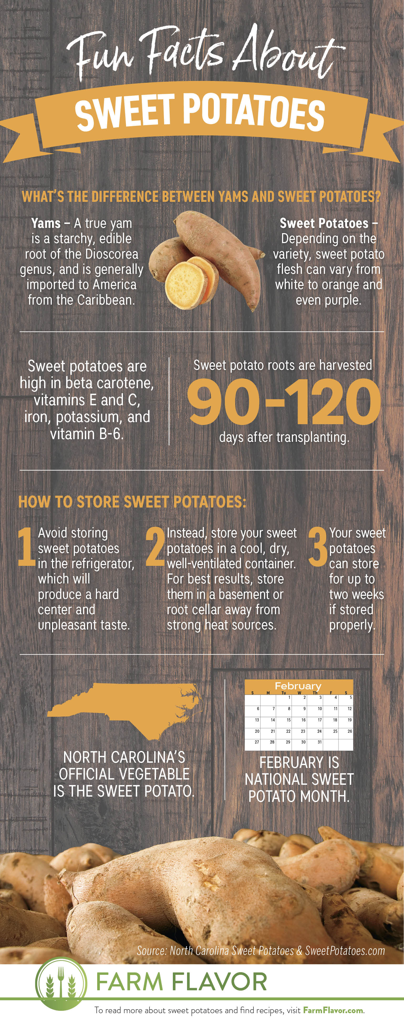 6 Interesting Facts About Sweet Potatoes (Infographic)