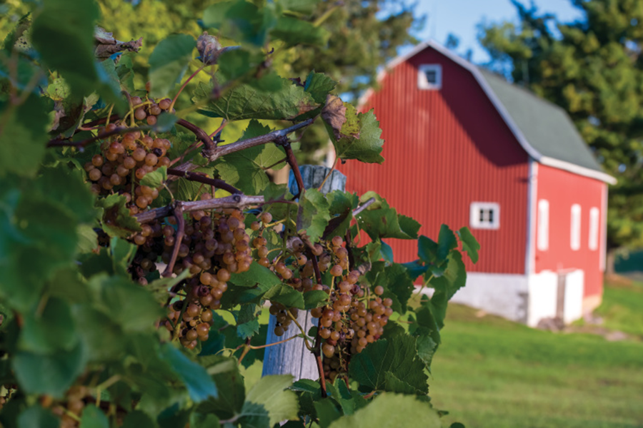 MAEAP Program Helps Michigan Farmers Protect Their Land - Farm Flavor