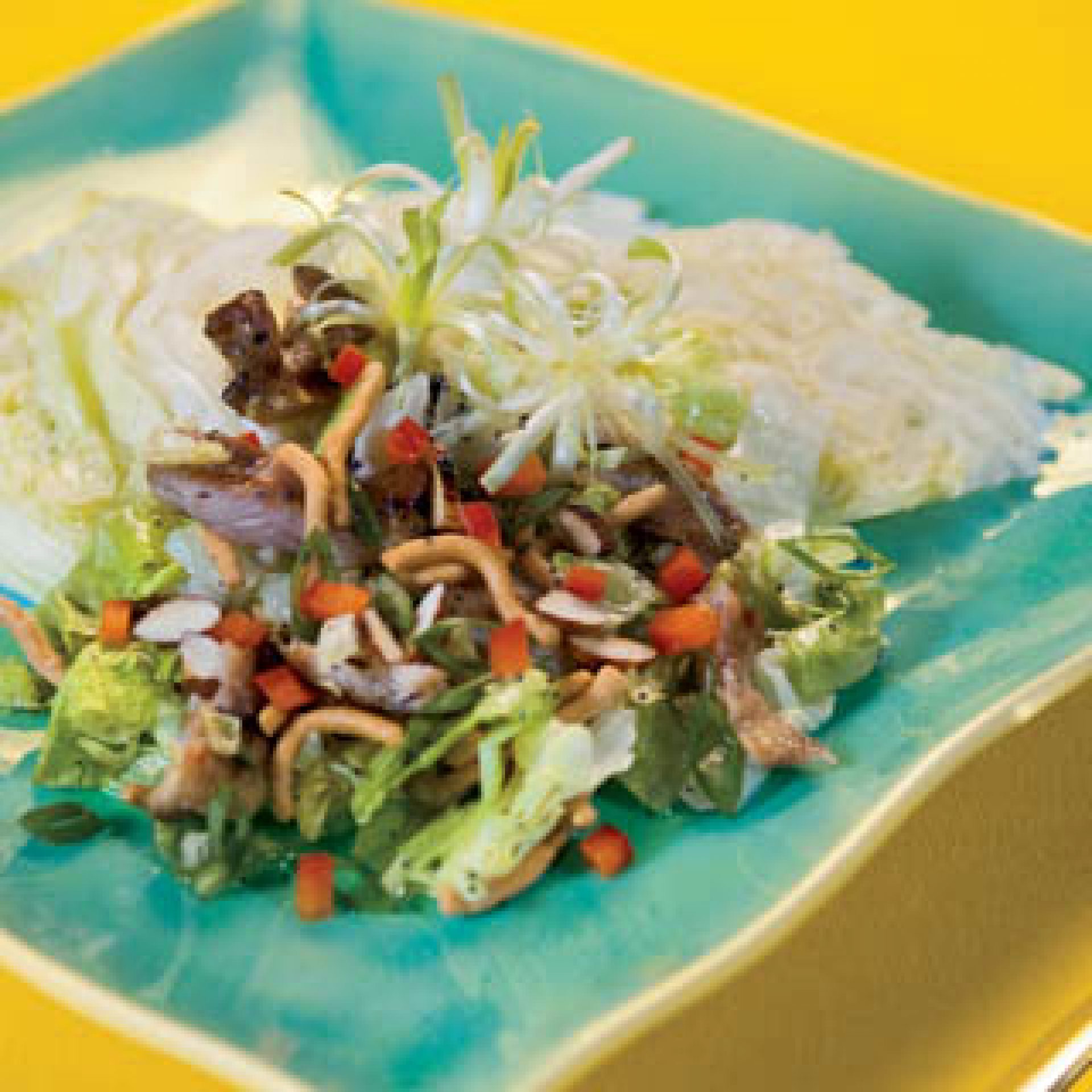 Arlene's Japanese Chicken Salad Recipe - Farm Flavor Recipe