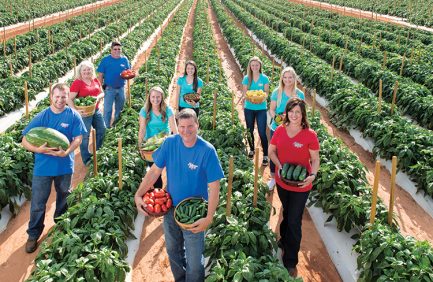 North Carolina Agriculture - Farm Flavor