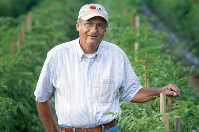 Why Dr. Randy Gardner is Known as the Tomato King - Farm Flavor