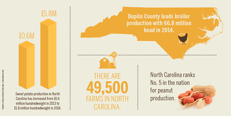 North Carolina's Principal Ag Commodities - Farm Flavor