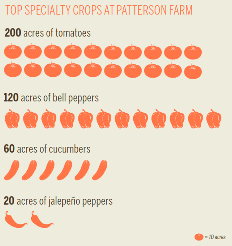 North Carolina Specialty Crops Support Small Farmers - Farm Flavor