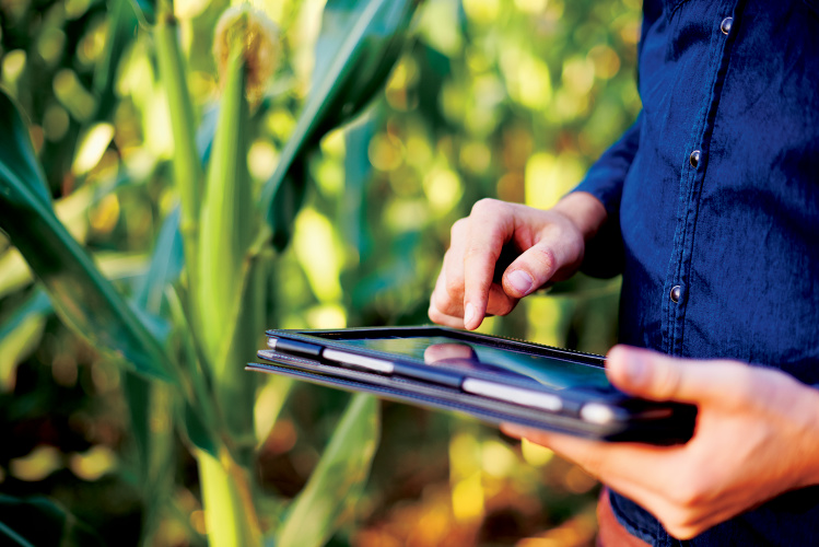 How Ag Technology is Transforming North Carolina Farming - Farm Flavor