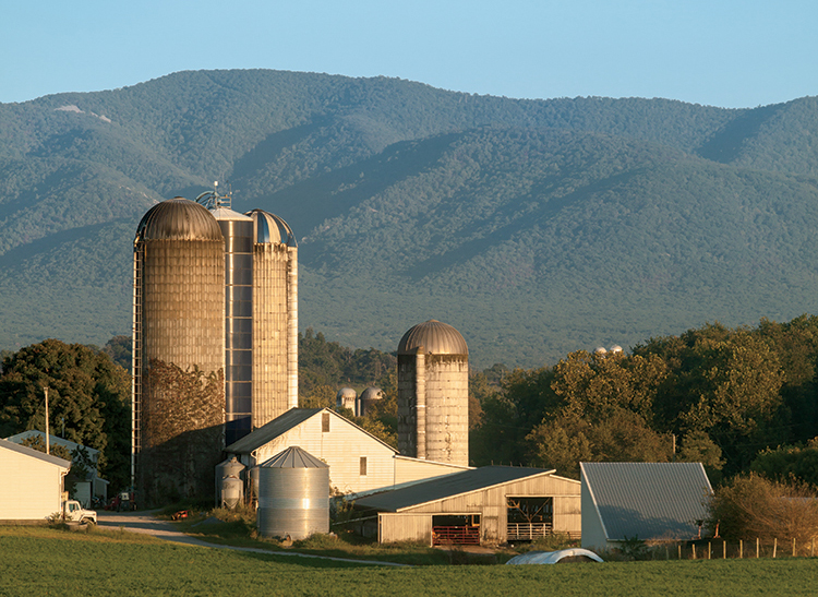 Virginia Agriculture: An Integral Industry - Farm Flavor