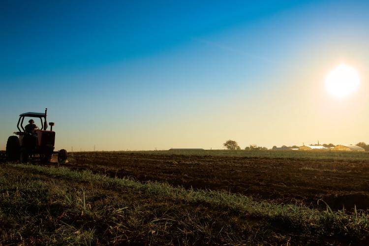 State-Funded Initiatives Partner with Department of Ag to Help Kentucky ...