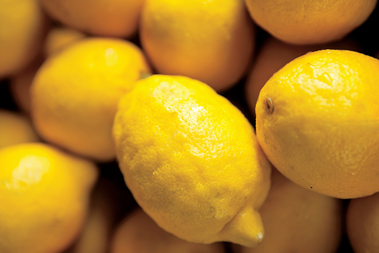 What's in Season This Winter? - Farm Flavor