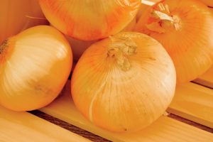 Top 10 New Mexico Agricultural Products - Page 5 of 10 - Farm Flavor