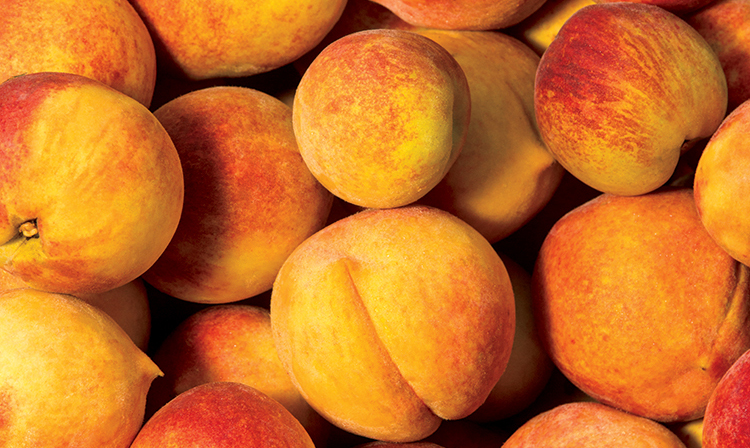 South Carolina Peach Growers are Blushing with Pride - Farm Flavor