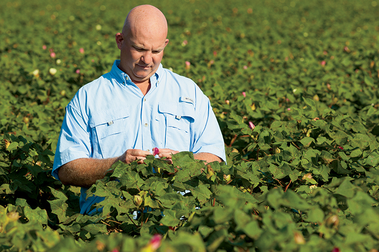 Crop Consultants Help Harvest Success - Farm Flavor