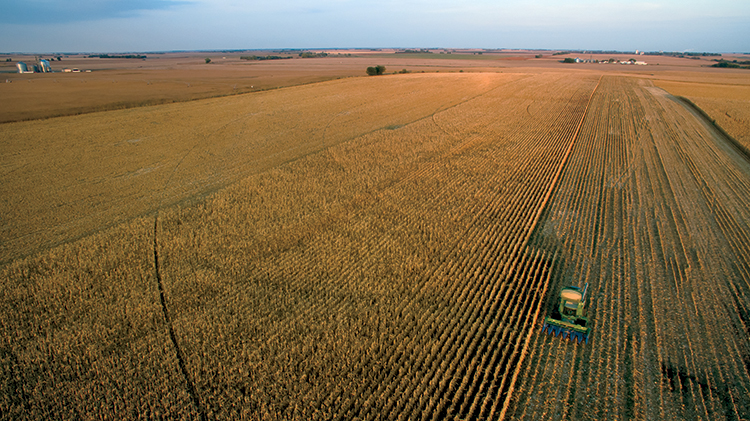 Nebraska's Top 10 Agricultural Products - Farm Flavor