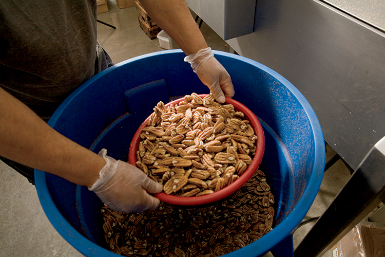 Texas Goes Nuts - Farm Flavor