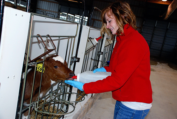 Opening Doors with Wisconsin Ag Internships - Farm Flavor
