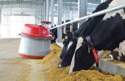 Farms, Food & United States Agriculture - Farm Flavor