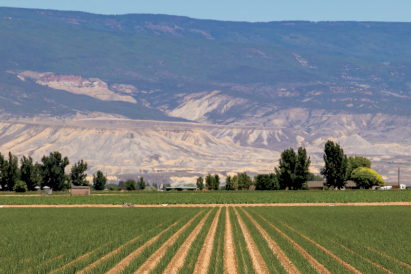 The 3 Distinct Agricultural Regions of Colorado - Farm Flavor