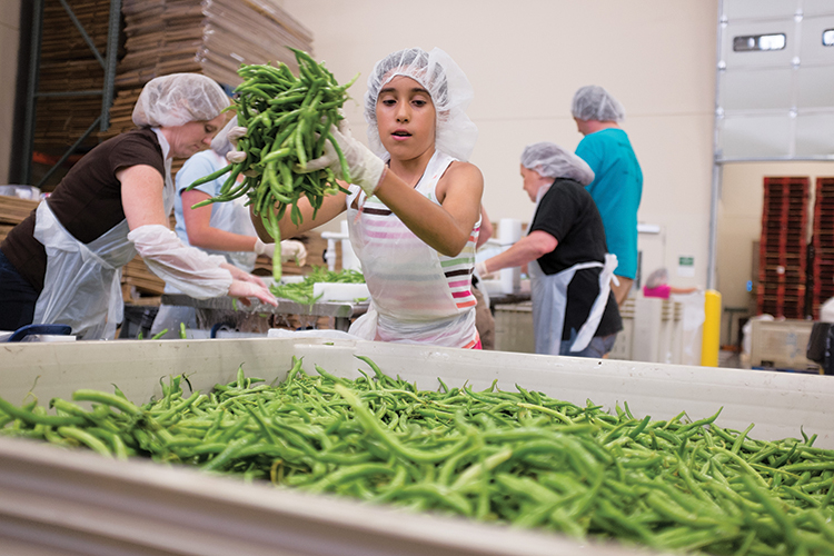 Oregon Farmers are Feeding a Need - Farm Flavor
