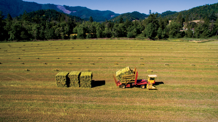 Top Kansas Agricultural Products - Page 7 of 10 - Farm Flavor