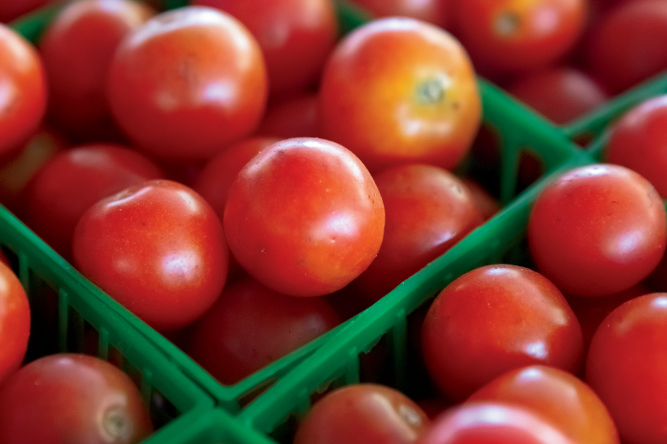 Virginia's 9 Best Food Festivals Across the State - Farm Flavor