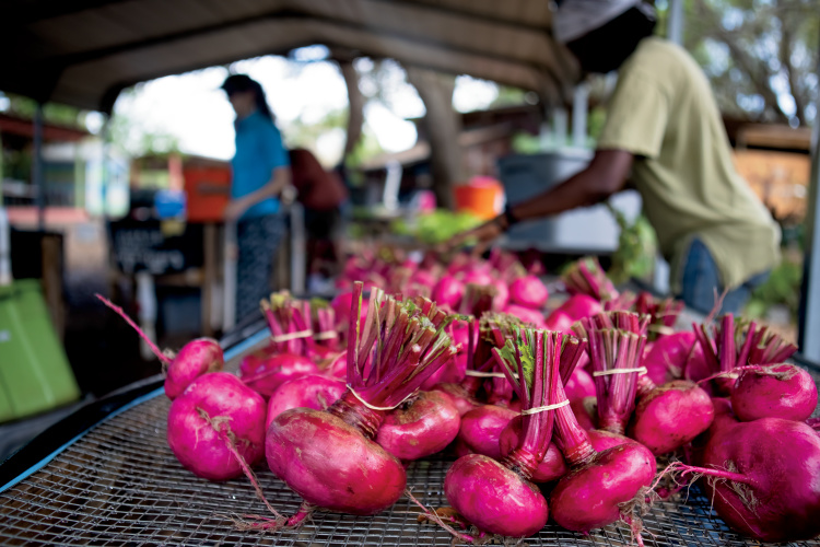 Community Farm Combines Education, Organic Farming - Farm Flavor
