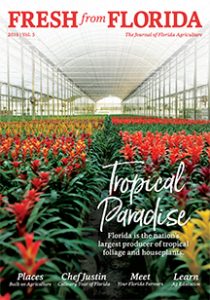 Fresh From Florida 2020 - Farm Flavor