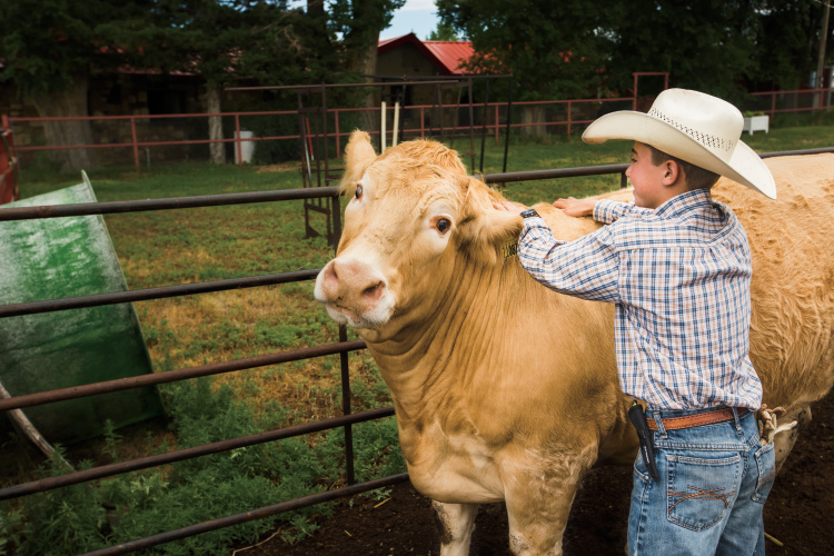 Cattle Ranching Family Finds Success Working Together - Farm Flavor