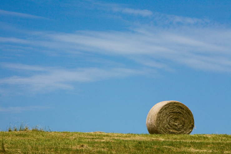 Alabama Farmers Stockpile Hay for the Winter - Farm Flavor