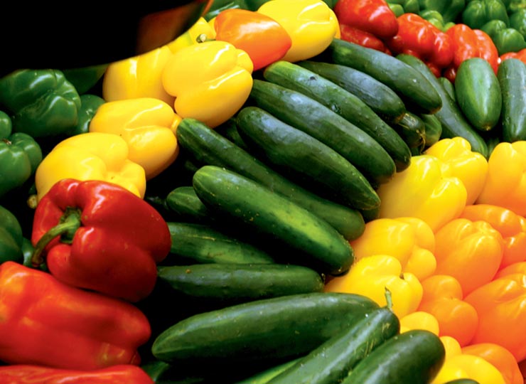 Agricultural Renaissance for Choctaw Indians - Farm Flavor