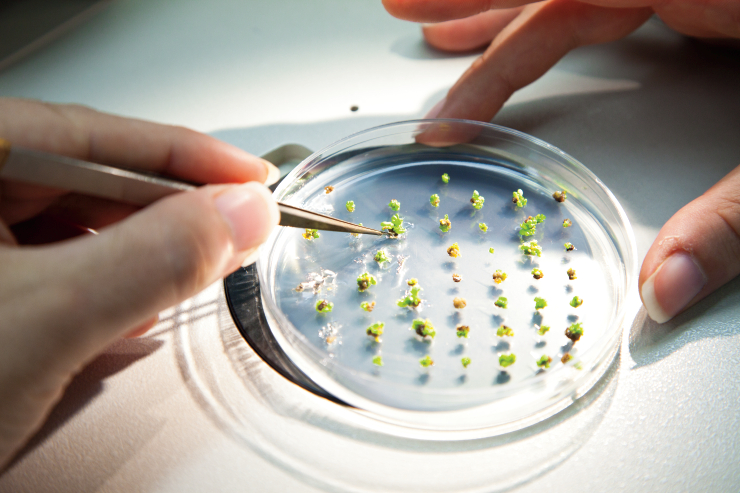 State Seed Lab Moves Odds to Farmers' Favor - Farm Flavor