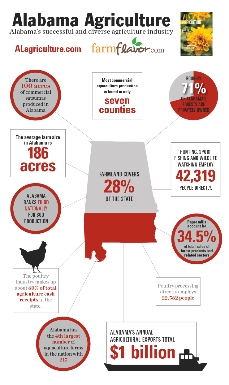 Alabama Agriculture Overview (Infographic) - Farm Flavor