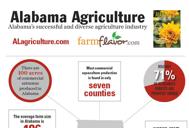 Alabama Agriculture Overview (Infographic) - Farm Flavor