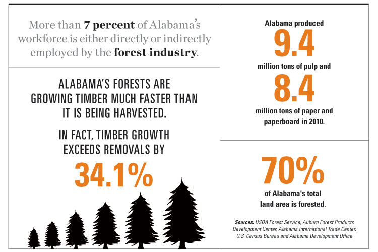Export Markets Stimulate Alabama's Forestry Industry - Farm Flavor