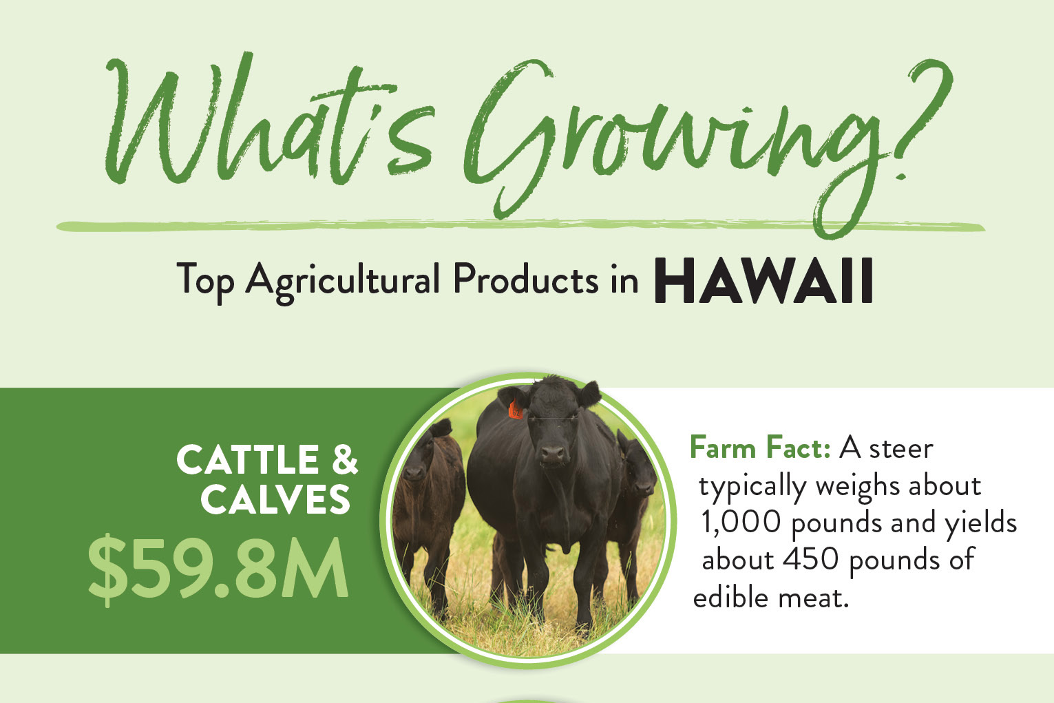Top 10 Hawaii Agriculture Products - Farm Flavor