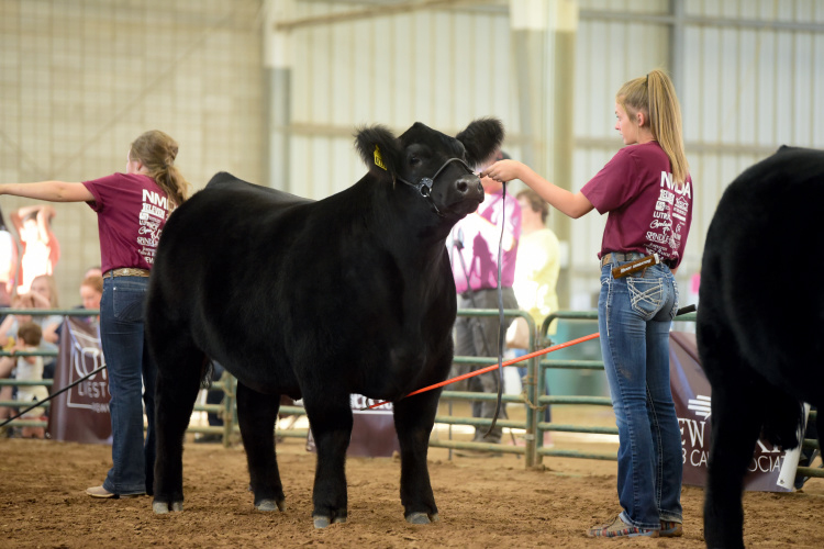 New Mexico Fairs Teach Visitors About State Agriculture Farm Flavor