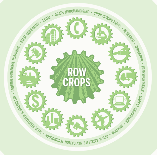 The Business of Growing Row Crops - Farm Flavor