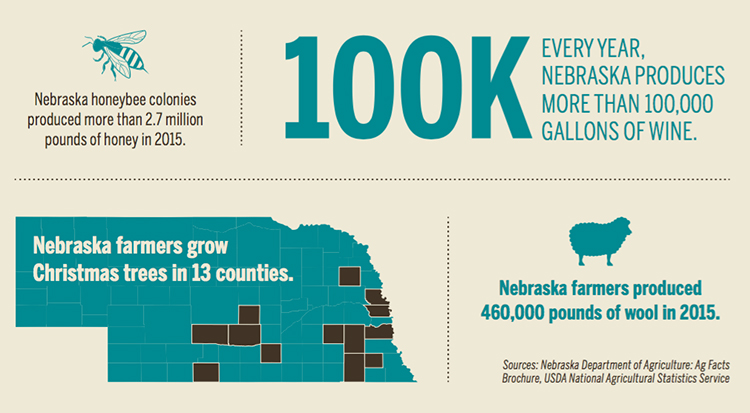 Nebraska's Top 10 Agricultural Products - Farm Flavor