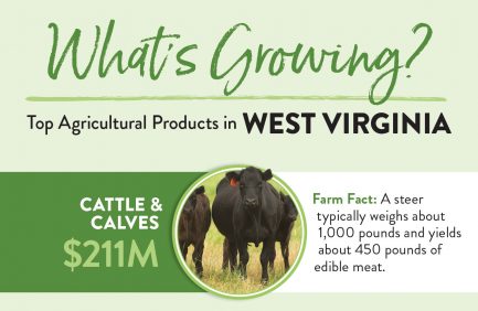 West Virginia Agriculture - Farm Flavor