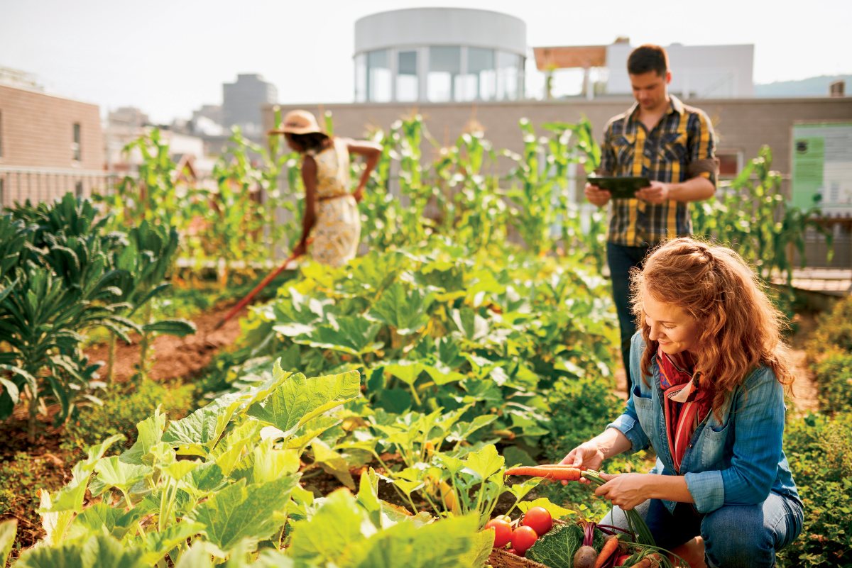 These Ag Jobs Include Careers Far Beyond Farming - Farm Flavor