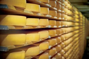 Types of American Cheese and How to Use Them - Farm Flavor