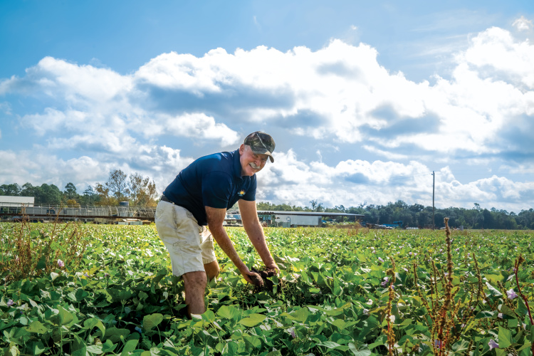 Florida Potato Industry Produces Spectacular Spuds - Farm Flavor