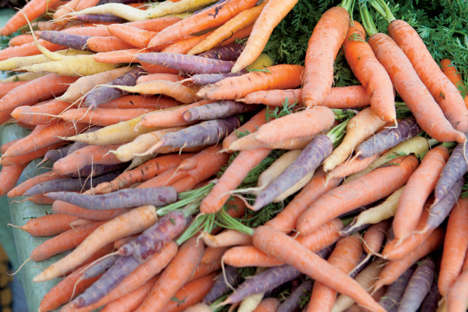 Top 10 Agriculture Products in California - Farm Flavor