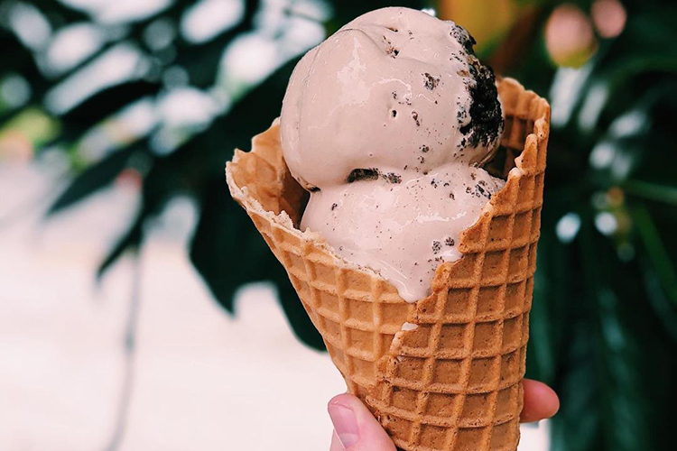How Chaney’s Dairy Barn in Kentucky Is Elevating Agritourism - Farm Flavor