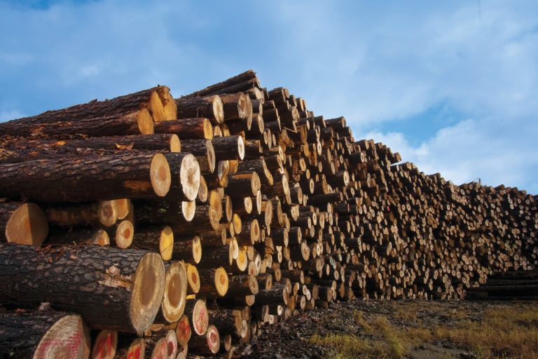 Top Mississippi Agricultural Products - Farm Flavor