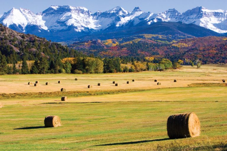 Top Colorado Agricultural Products - Farm Flavor
