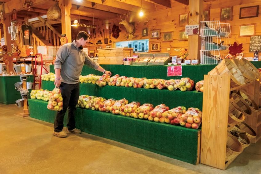 Tennessee Department of Agriculture Guides Farmers Step by Step - Farm ...