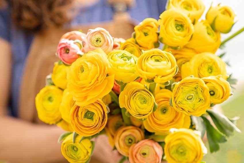 12 Flower Varieties to Plant This Spring - Farm Flavor