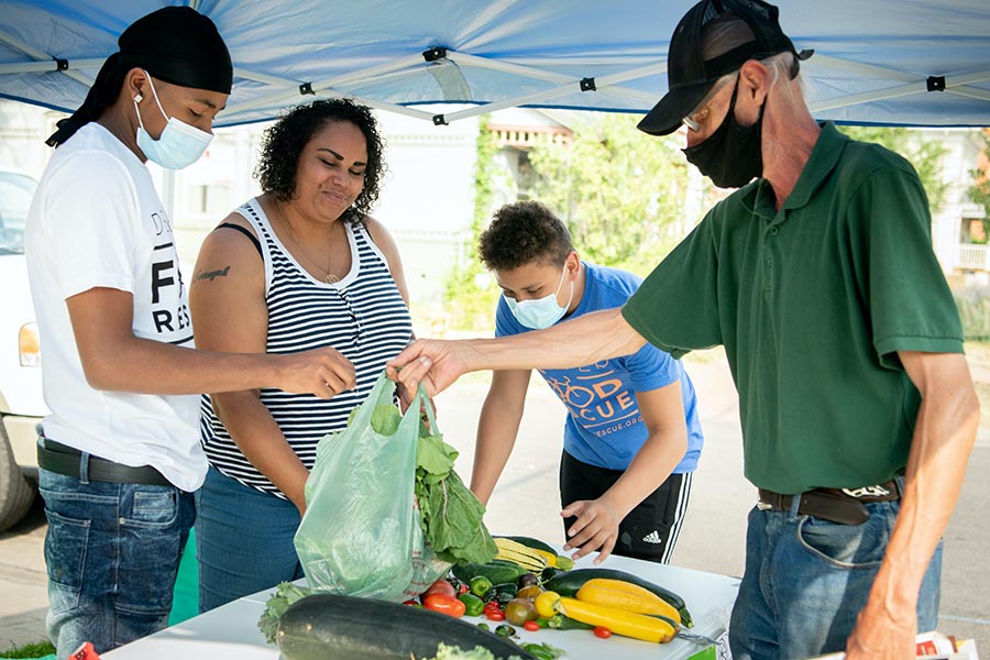 Fresh Food Connect Is Helping Gardeners Reduce Hunger in Their ...
