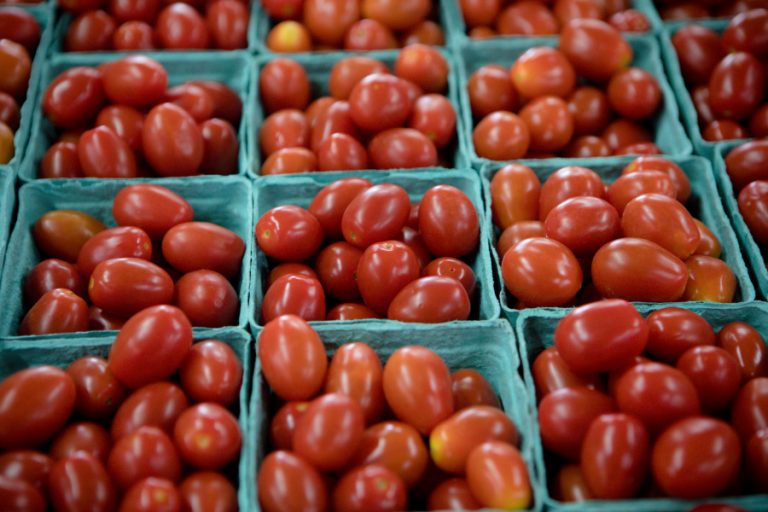 Complete Guide to Tomato Varieties and How to Use Them - Farm Flavor